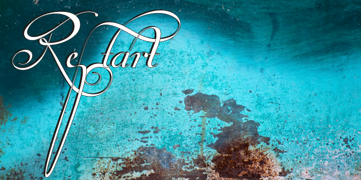 Van den Velde Script Pro Font