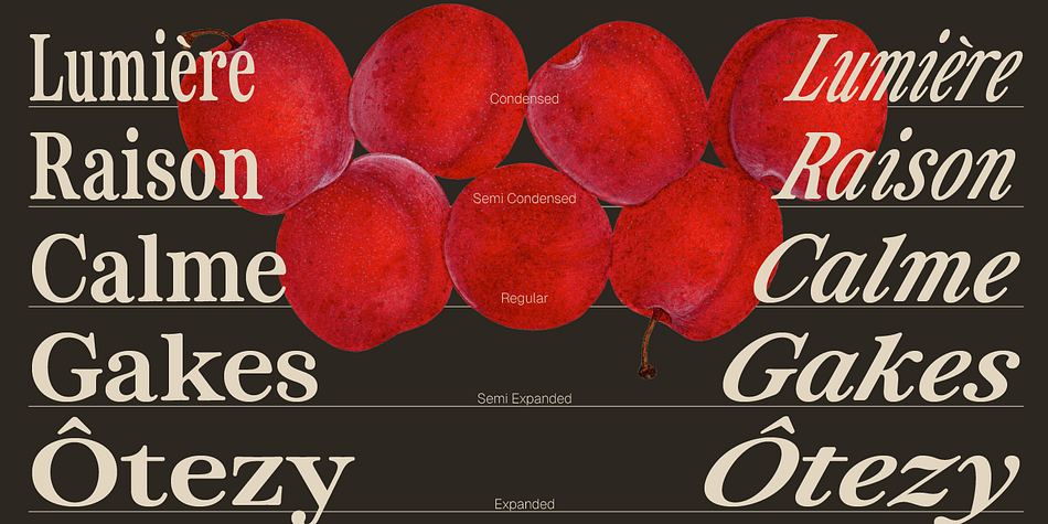 ZT Otez Font