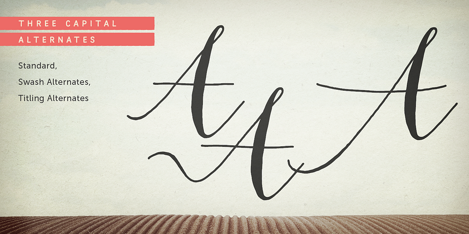 Mila Script Pro Font