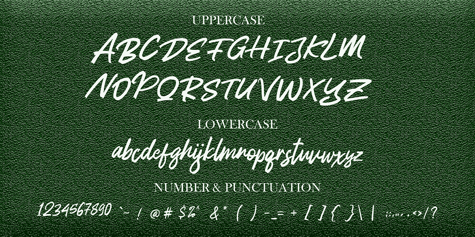 Anatomi Font Family by Gatype - Fontspring