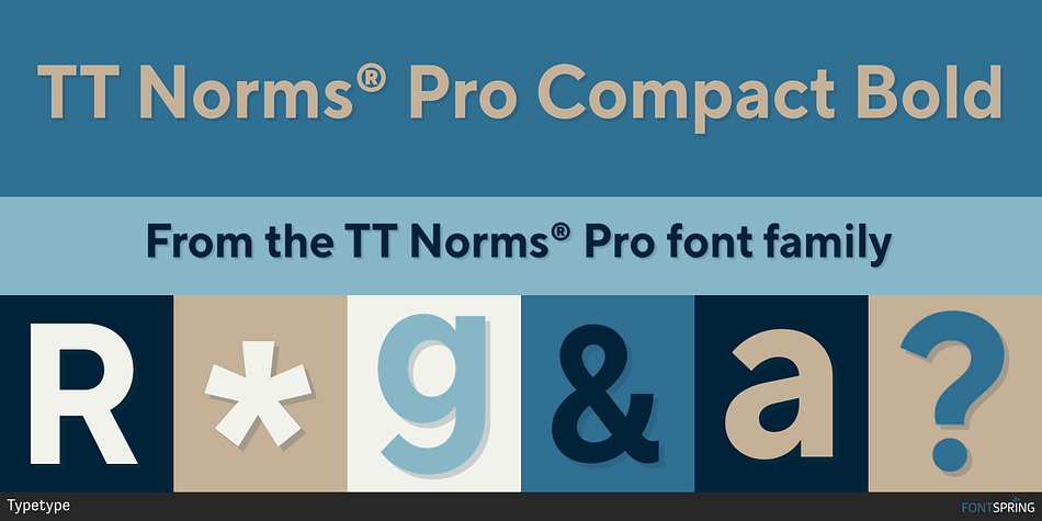 TT Norms® Pro Compact Bold Font