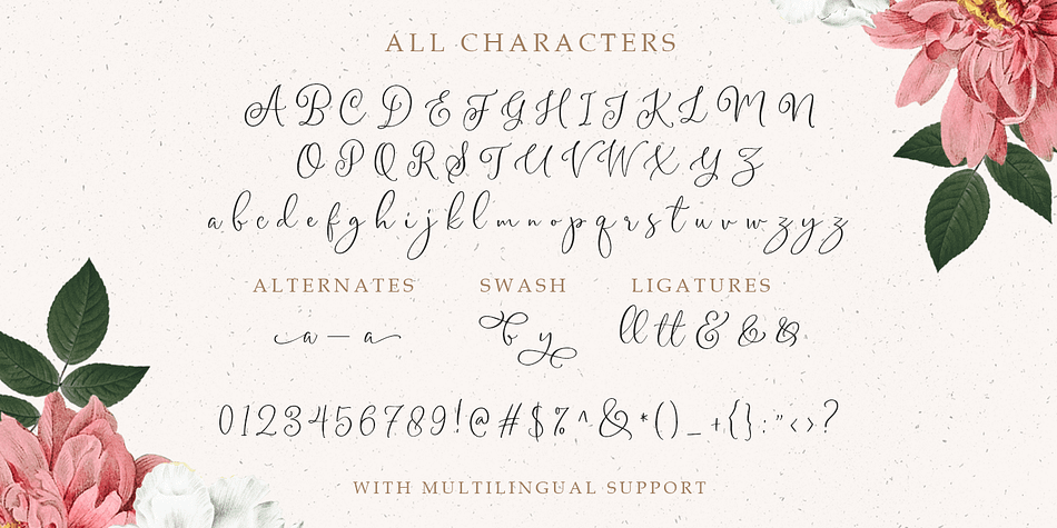 Gladiolus Font