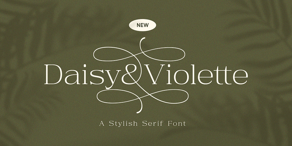 Daisy & Violette Font