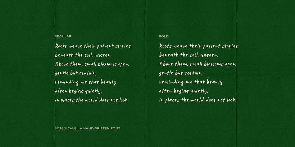 Botanicale Font