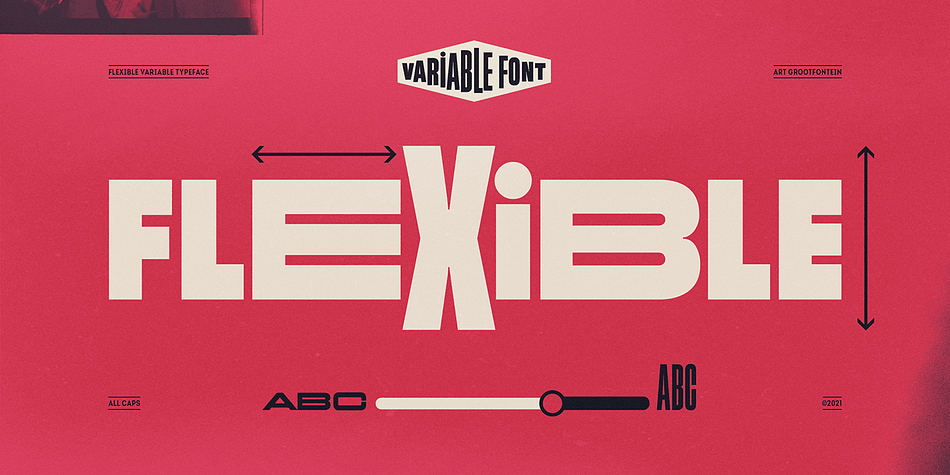Flexible Variable Font