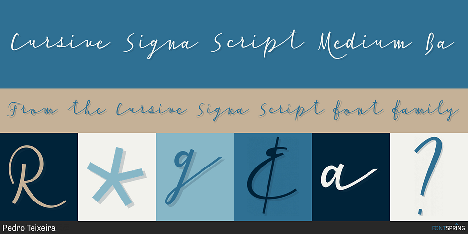 Cursive Signa Script Medium Ba Font