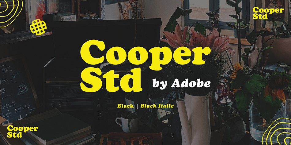Cooper Std Font