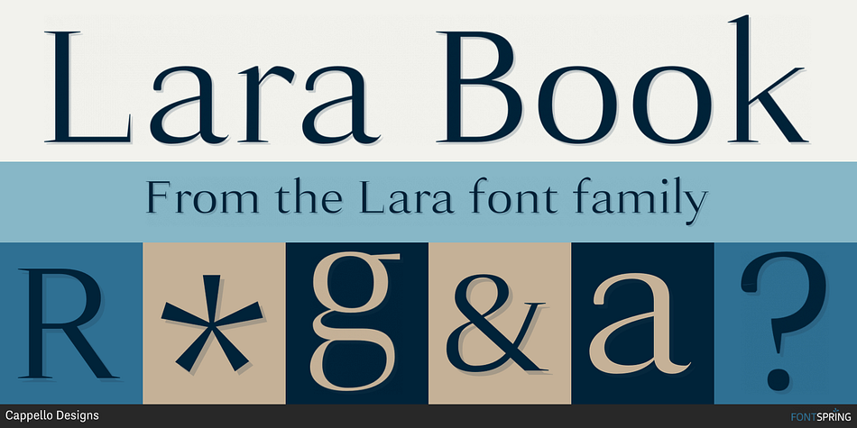 Lara Book Font