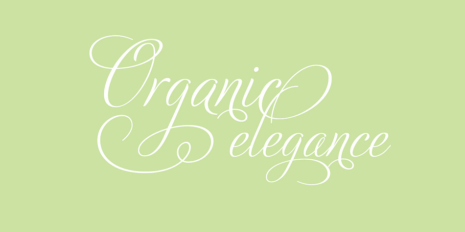 Adios Script Pro Font