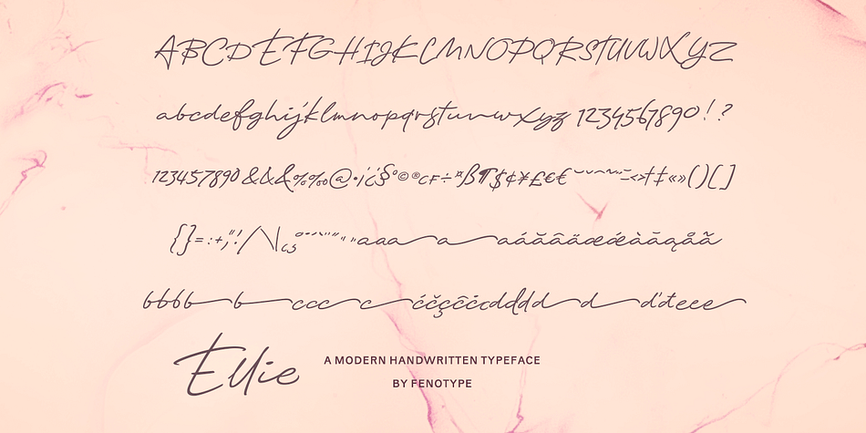 Ellie Script Font