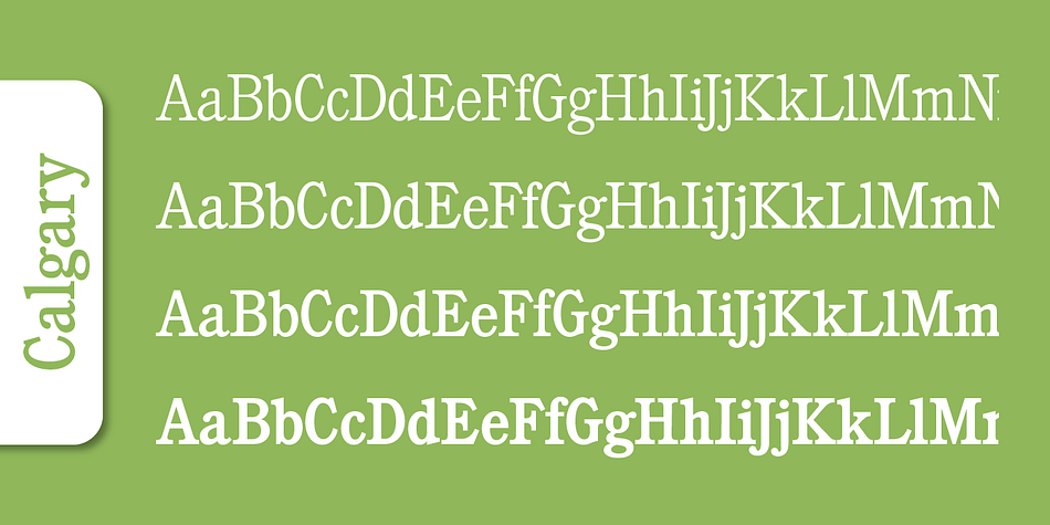 Calgary Serial Font Family by SoftMaker - Fontspring