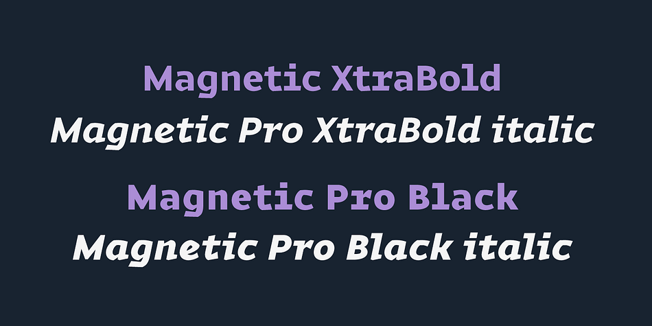 Magnetic Pro Font